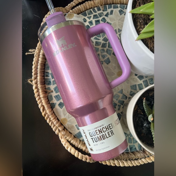 Stanley | Dining | Stanley Mauve Shimmer 4oz Tumbler | Poshmark